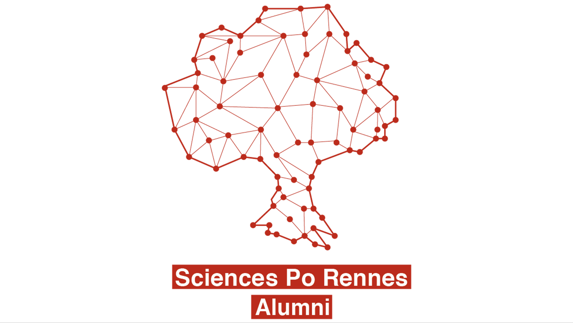 Le nouveau site de Sciences Po Rennes Alumni est en ligne ! | Sciences ...