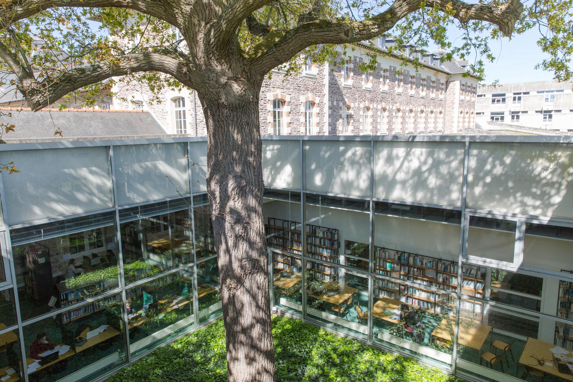Informations pratiques | Bibliothèque