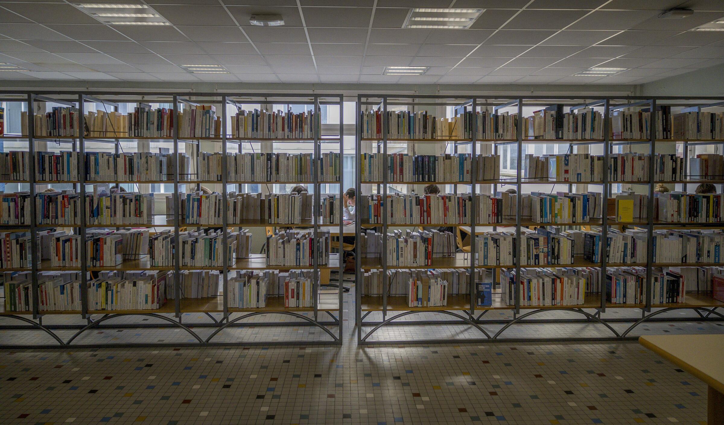 Guide méthodologique : citer ses sources et présenter une bibliographie ...